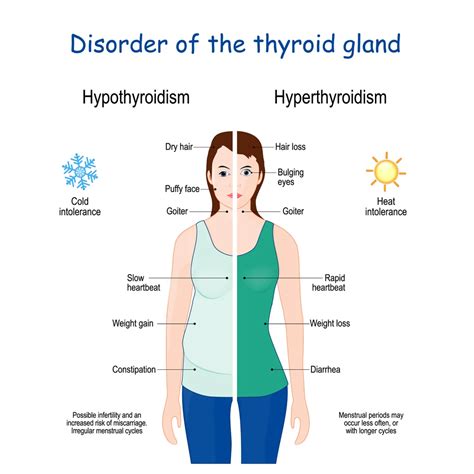 Endocrine Conditions • Milton • Naturopath • Natural Health Clinic Of