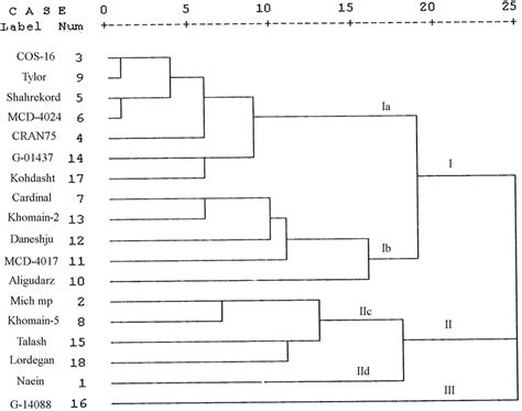 Wards Minimum Variance Dendrogram Of 18 Phaseolus Vulgaris L Download Scientific Diagram
