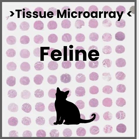 Veterinary Tissue Microarrays Tmas By Svp Research