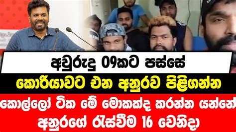අවුරුදු 09කට පස්සේ කොරියාවට එන අනුරව පිළිගන්න කොල්ලෝ ටික මේ මොකක්ද කරන්න යන්නේ Youtube