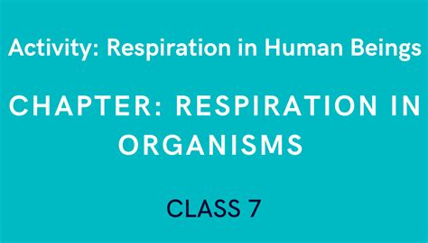 Respiration In Human Beings In Respiration In Organisms Class 7