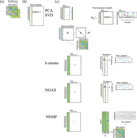 Flowchart Of The Analytic Pipeline Of Time‐varying Functional Brain