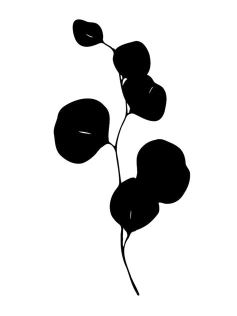 Premium Vector Silver Dollar Eucalyptus Branch With Leaves Black Silhouette Isolated On White