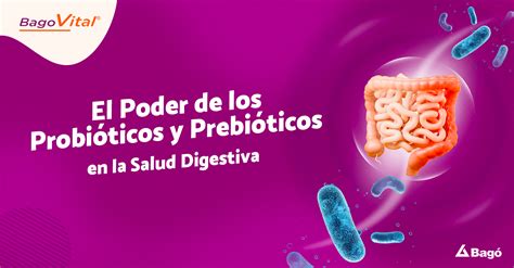 El Poder de los Probióticos y Prebióticos en la Salud Digestiva ...