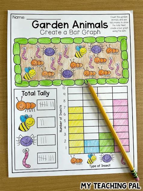 Bug Count Bar Graph Worksheet