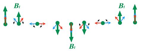 rf transmit coils questions and answers in mri