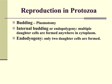 Anatomy Of Protozoan Cell Ppt