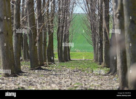 Light Tunel Hi Res Stock Photography And Images Alamy