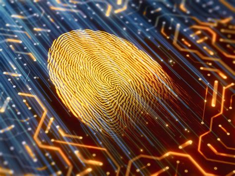 Everything You Need To Know About Biometric Data Collection Risk And Insurance