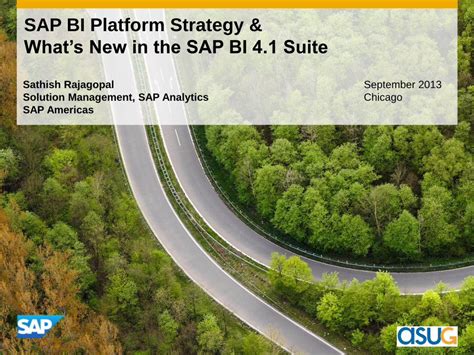 Pdf Sap Bi Platform Strategy And Chicago Sap Selection For Bw