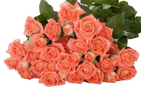 Charming Babe Subati Group