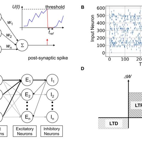 Schematic Illustration Of Neuromorphic System A Biological Model The