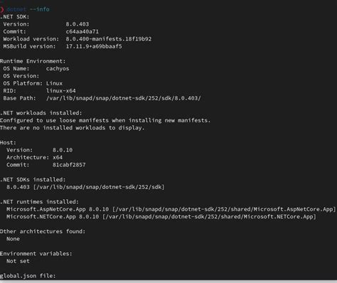 Why Cant I Installing Vs Code And Dotnet Sdk Issues And Assistance Cachyos Forum