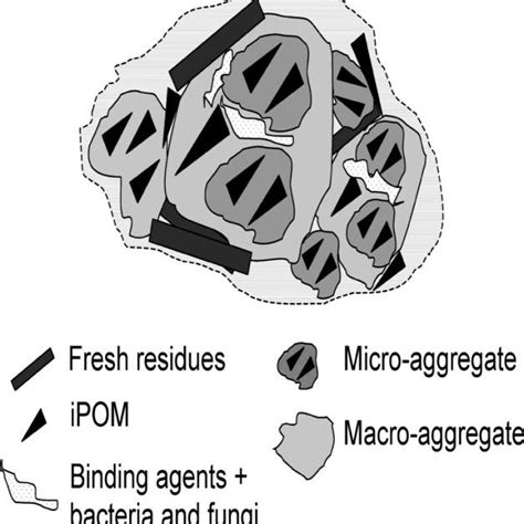 General Structure Of Soil Aggregation Download Scientific Diagram