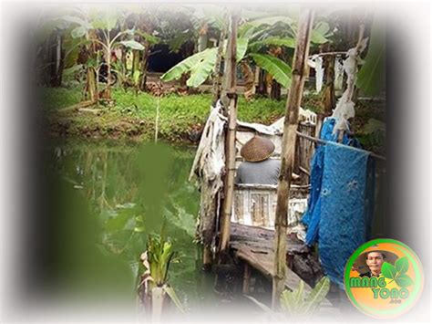 Kakus Jamban Diatas Empang Atau Sungai