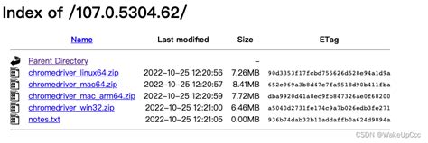 python爬虫scrapy webdriver，selenium使用webdriver启动chrome出现闪退现象 webdriver chrome 闪退 csdn博客
