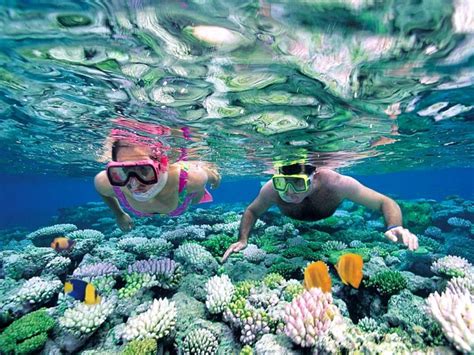 Snorkeling Coral Reef