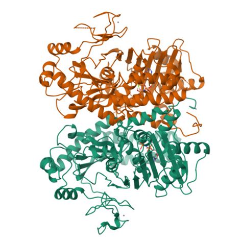 Rcsb Pdb 9cdf Structure Of Morc2 Pd Mutant Binding To Amp Pnp