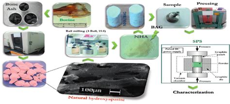 Schematic Of The Preparation Of The Nanocomposite And Sample