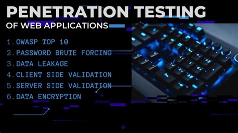 professional penetration testing of web applications as per owasp top