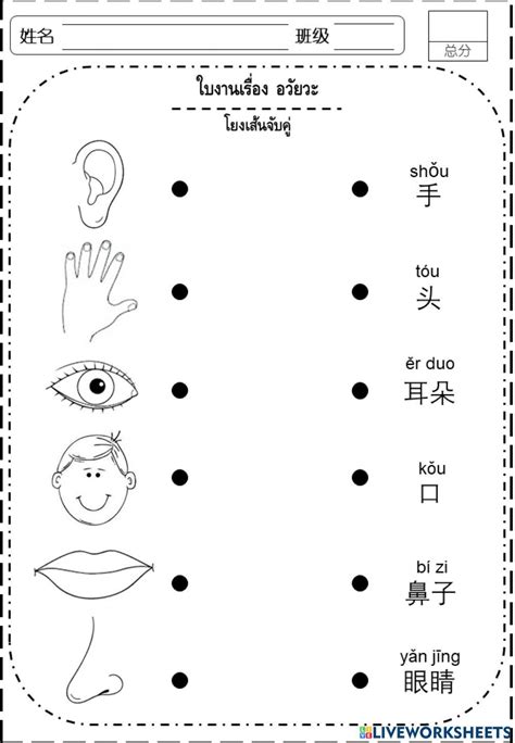 ใบงานวิชาภาษาจีน โยงเส้นอวัยวะในร่างกาย Online Exercise For Live Worksheets