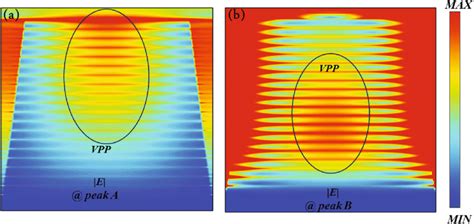 Cross Sectional X Z Plot Distributions Of Electric Field E At