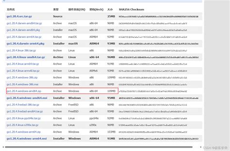 go语言安装及其环境配置 阿里云开发者社区