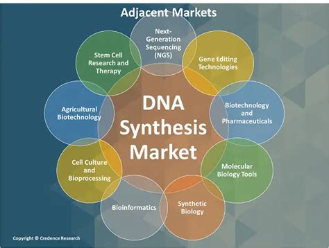 DNA Synthesis Market By Share Size And Growth