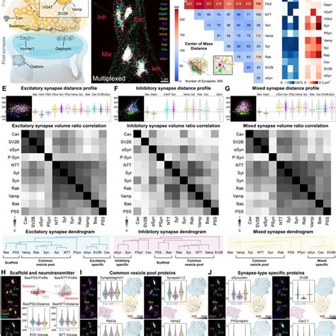Ralf Jungmann Max Planck Institute Of Biochemistry München Mpib