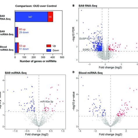 Differentially Expressed Protein Coding Genes And Micrornas In Brain