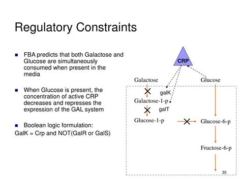 Ppt Constraint Based Modeling Of Metabolic Networks Powerpoint