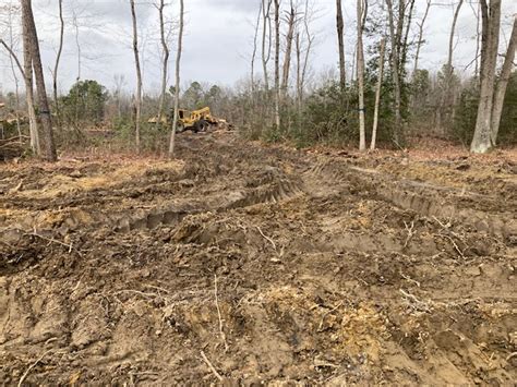 Glassboro Wma 2 Rob Ferber Protecting The New Jersey Pinelands And