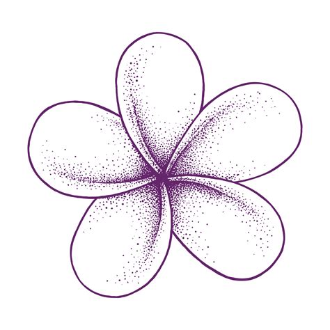 Frangipani Flower Vector 24244053 Vector Art At Vecteezy