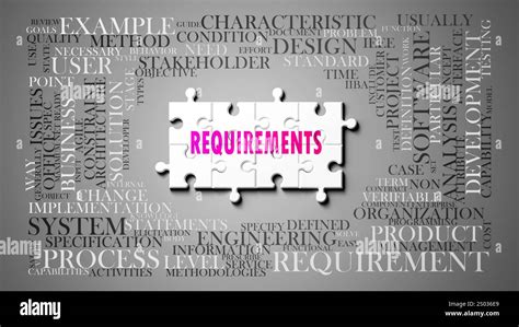 Requirements As A Complex Subject Related To Important Topics