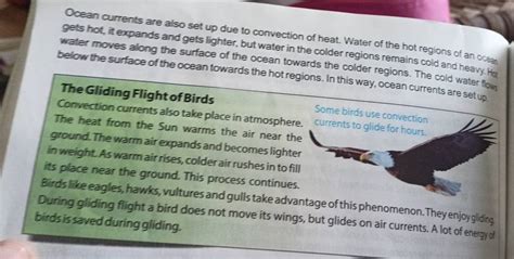 Ocean Currents Are Also Set Up Due To Convection Of Heat Water Of The Ho