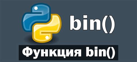 Функция Bin в Python It Start