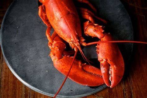 5 Links To Read Before Preparing Shellfish