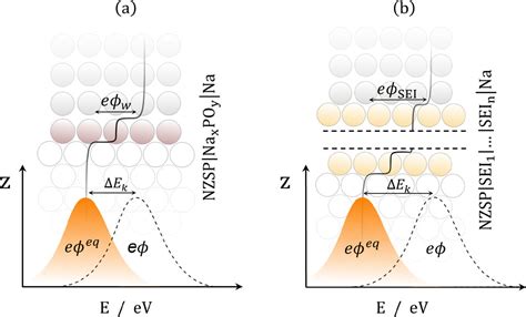 Operando Characterization And Theoretical Modeling Of Metalelectrolyte Interphase Growth