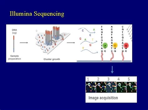 The Promise Of Next Generation Sequencing Junaid Shabbeer