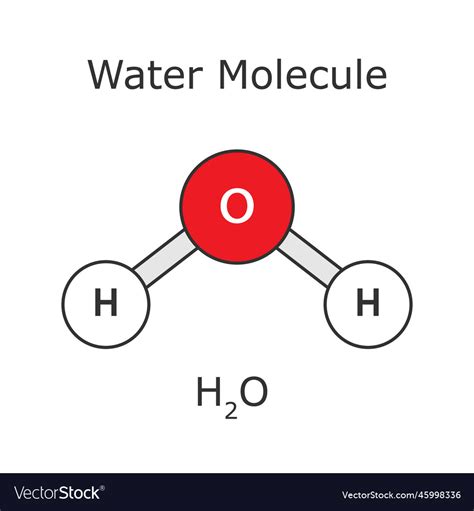 Water Molecule Structure