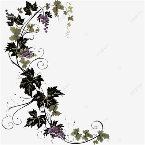 포도 일러스트 덩굴이 디자인 아이디어 창조적 포도 덩굴 Png 일러스트 및 이미지 에 대한 무료 다운로드 Pngtree