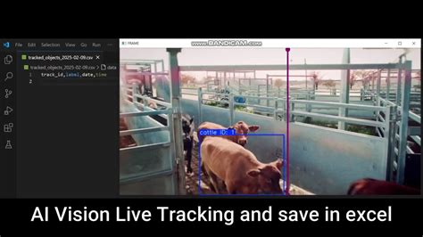 Alif Arman On Linkedin Ai Objectdetection Machinelearning Yolov11