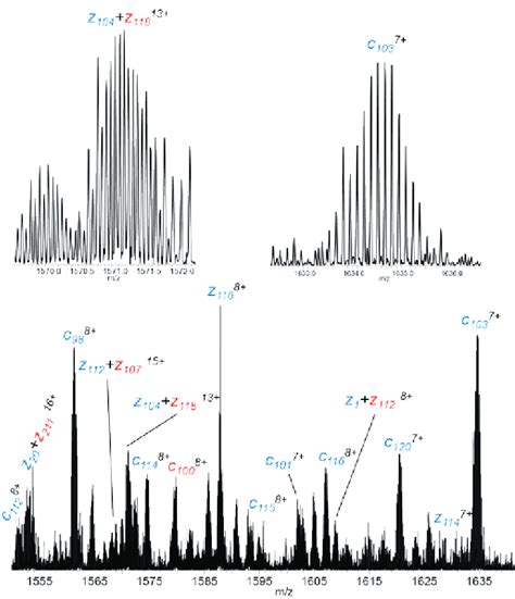 Middle Down Ms Product Ion Complexity An Expanded View Of Etd Mass