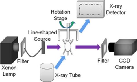 Schematic Diagram Of The Hybrid Fmtxct Imaging System The Fmt System Download Scientific
