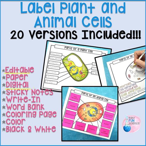 Label The Cells Plant And Animal Cells Editable Digital Classful