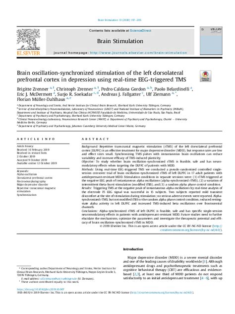 Pdf Brain Oscillation Synchronized Stimulation Of The Left Dorsolateral Prefrontal Cortex In
