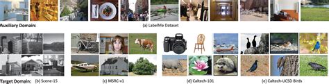 Figure 2 From Self Taught Low Rank Coding For Visual Learning
