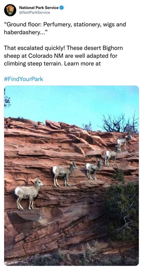 Whoever Is Running The National Park Service Twitter Is Hilarious And