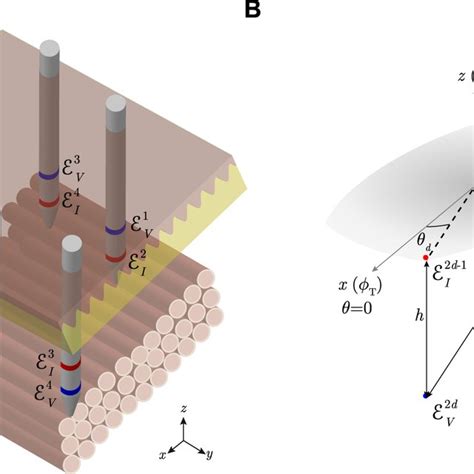 A Schematic Showing The In Situ Measurement Of Anisotropic