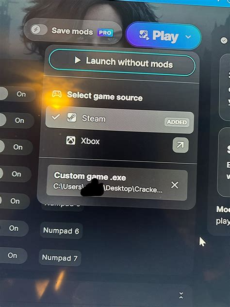 Installed Wemod But Not Finding Game Even With Custom Path Added Rpiratedgames